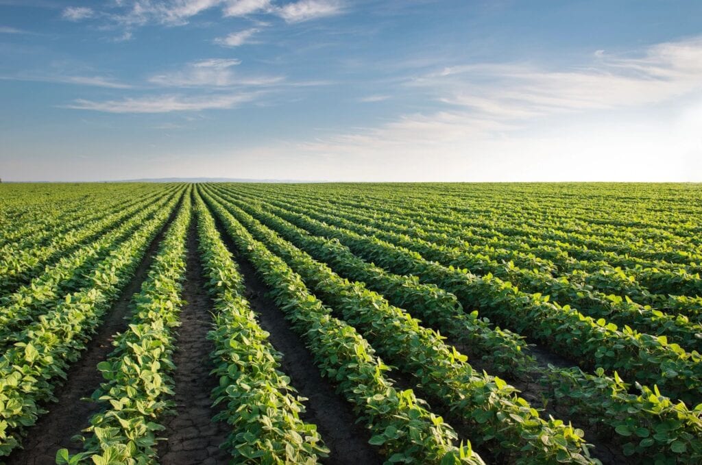 About Us - Smart Acre Solutions